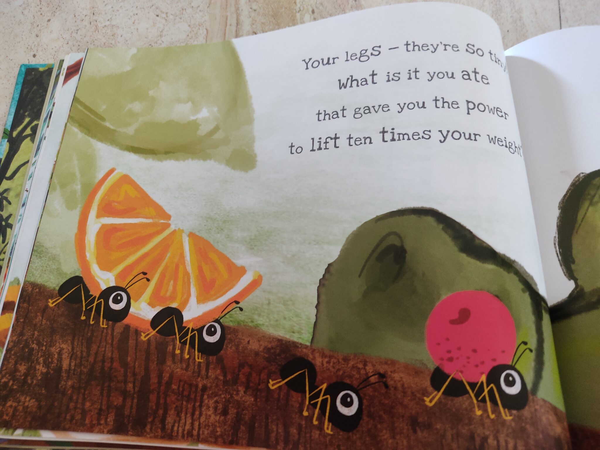 Niklye The Curious Crocodile Review – MumsAndStories.com